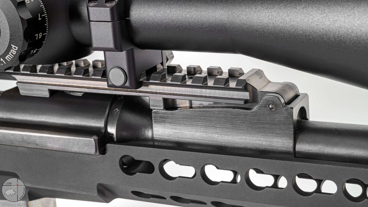 K31 Custom XXI - La Ligne de Mire LDM Suisse